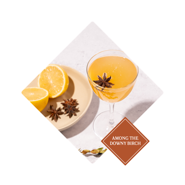 John Muir Trust | Limited Edition Gin | Ben Lomond Gin