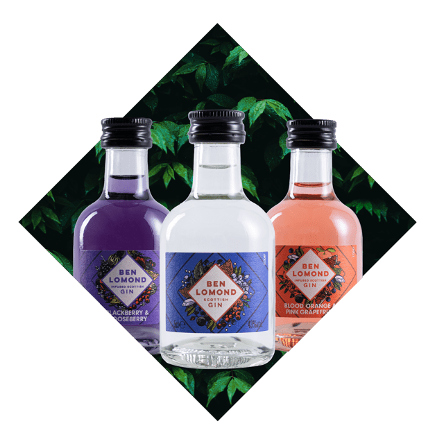 Gin Miniatures | Wedding Favours | Ben Lomond Gin